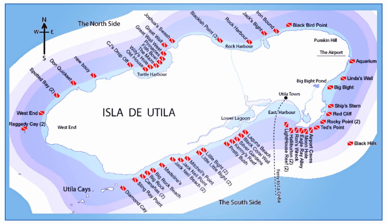 Diving on Utila (Roatán’s cheap little cousin) | s/v The Red Thread